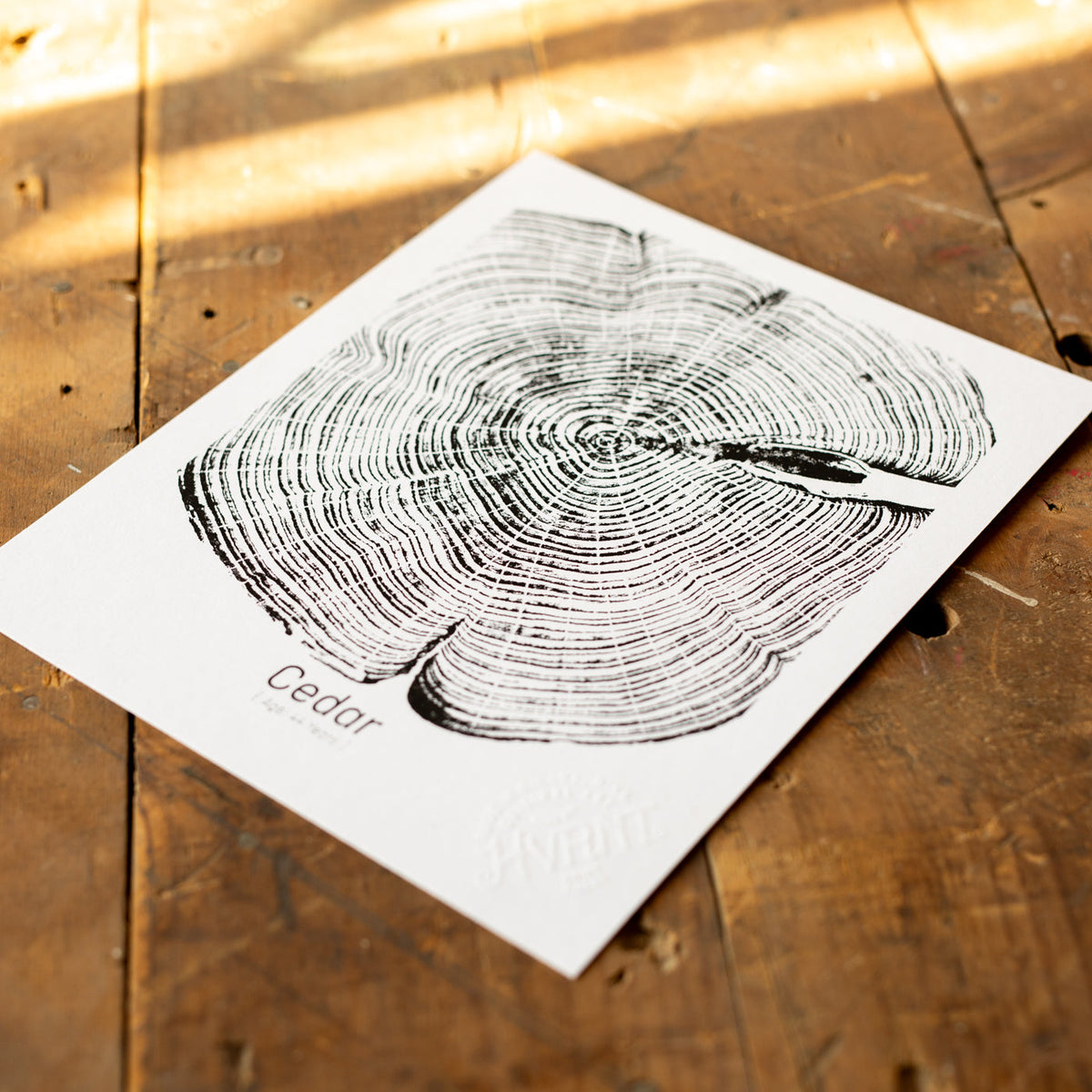 Small Prints 8"x10"s – HVRNT