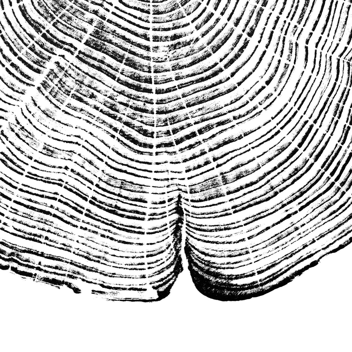 "Cedar 44" Tree Print - White Paper – HVRNT