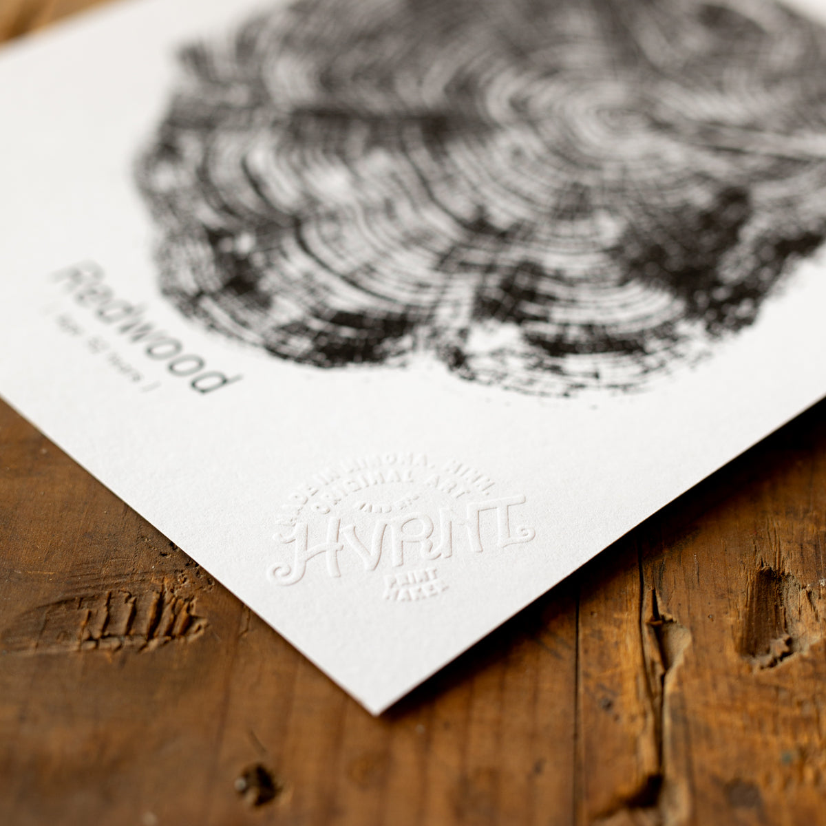 "Redwood 52" - Small 8" x 10" - Screen Print – HVRNT