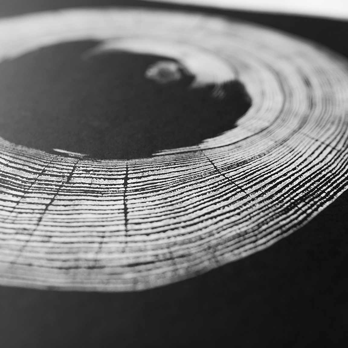 "Heart Rot Elm" Tree Print - Black Paper – HVRNT