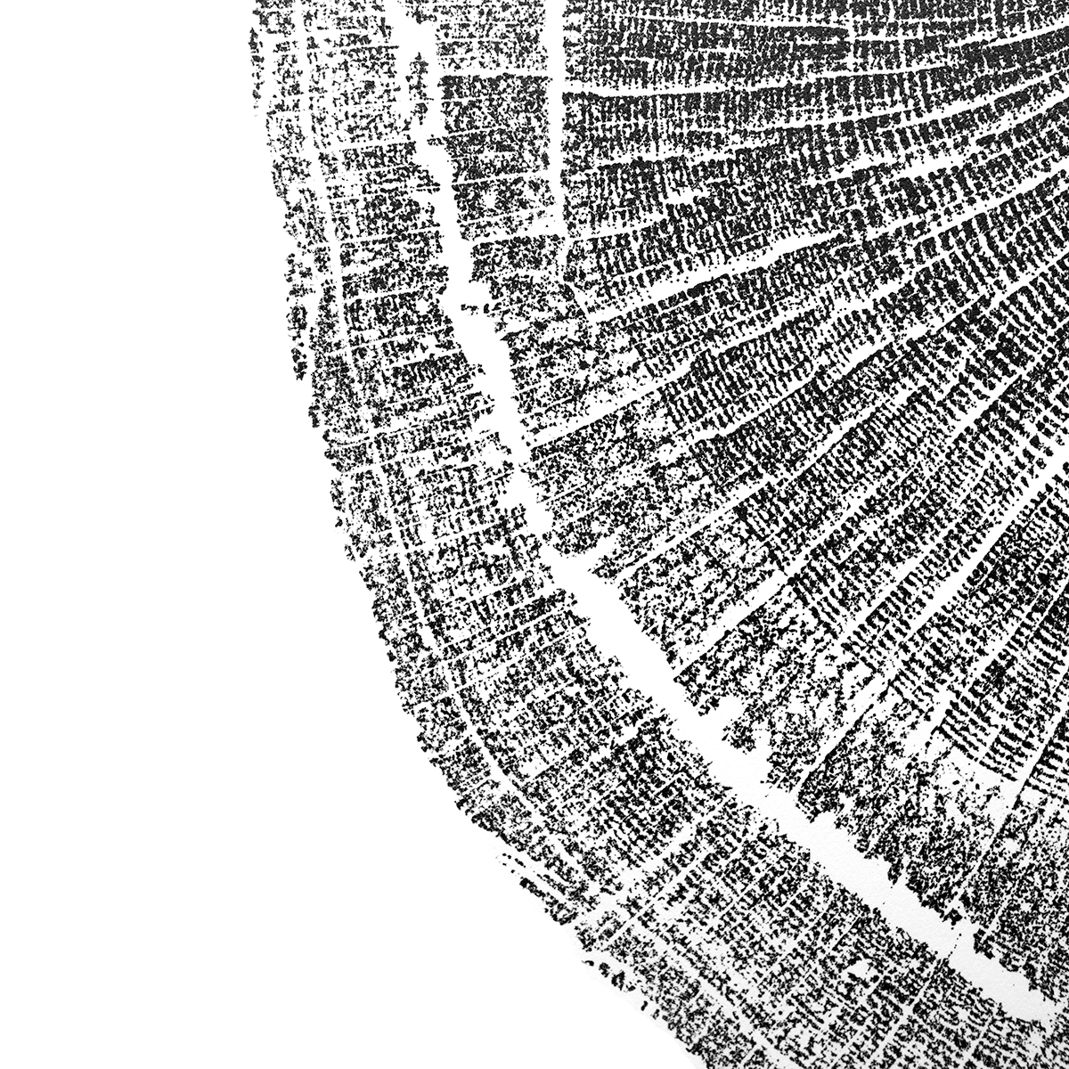 "White Oak" Tree Print - White Paper – HVRNT