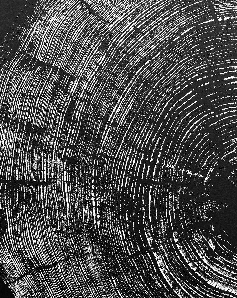 "Pine 121” Tree Print - Black Paper – HVRNT