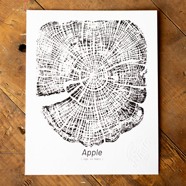 Small Prints 8"x10"s – HVRNT