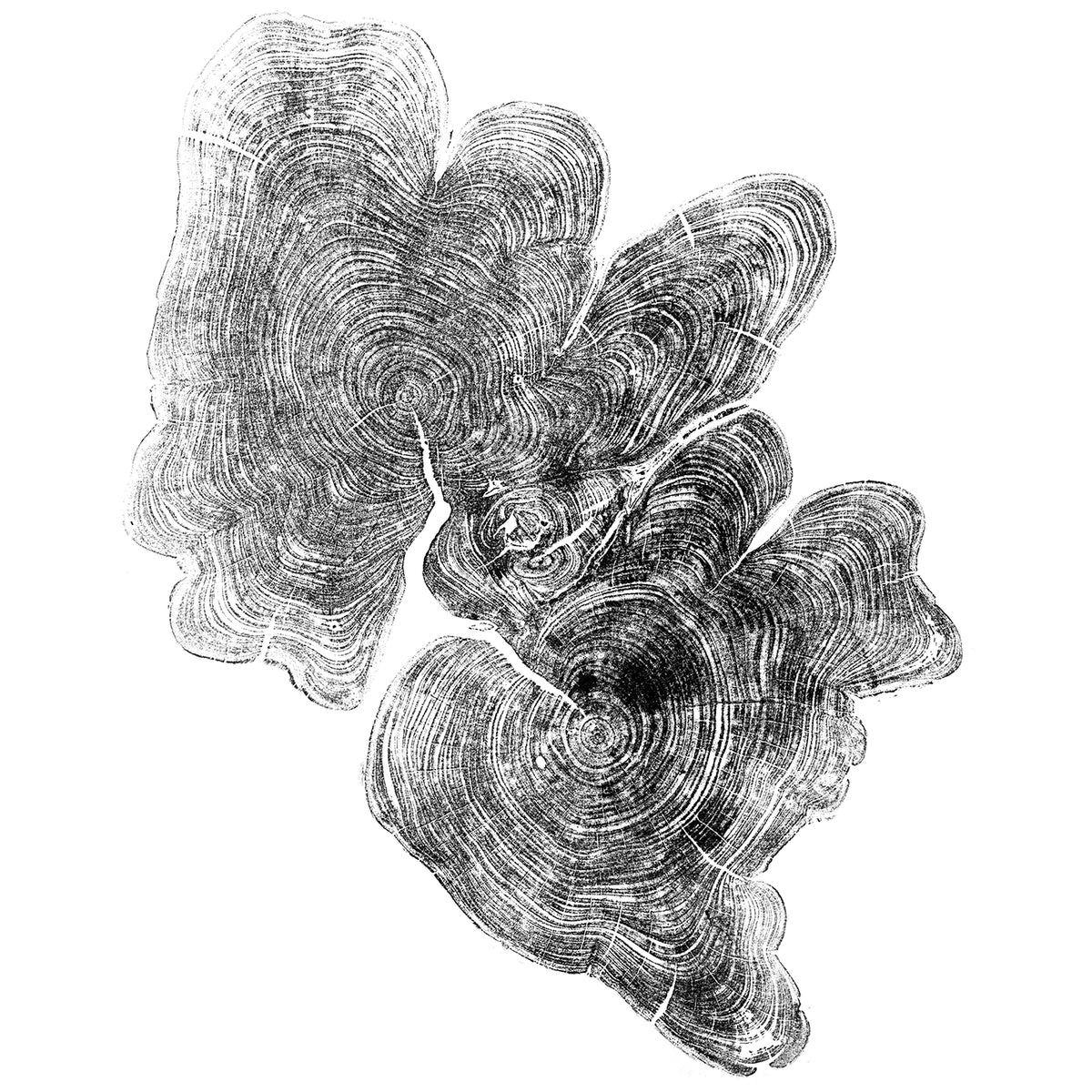 Woodcut Tree Prints – HVRNT