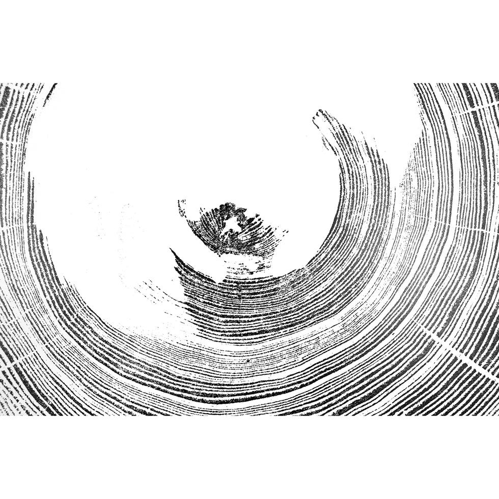 "Heart Rot Elm" Tree Print - White Paper – HVRNT