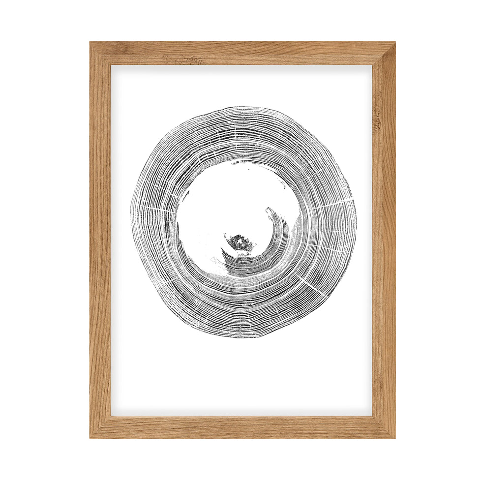 "Heart Rot Elm" Tree Print - White Paper – HVRNT