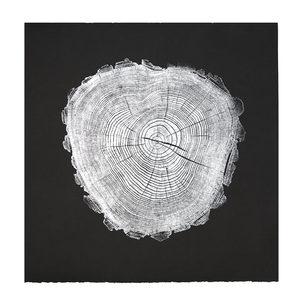 Woodcut Tree Prints – HVRNT