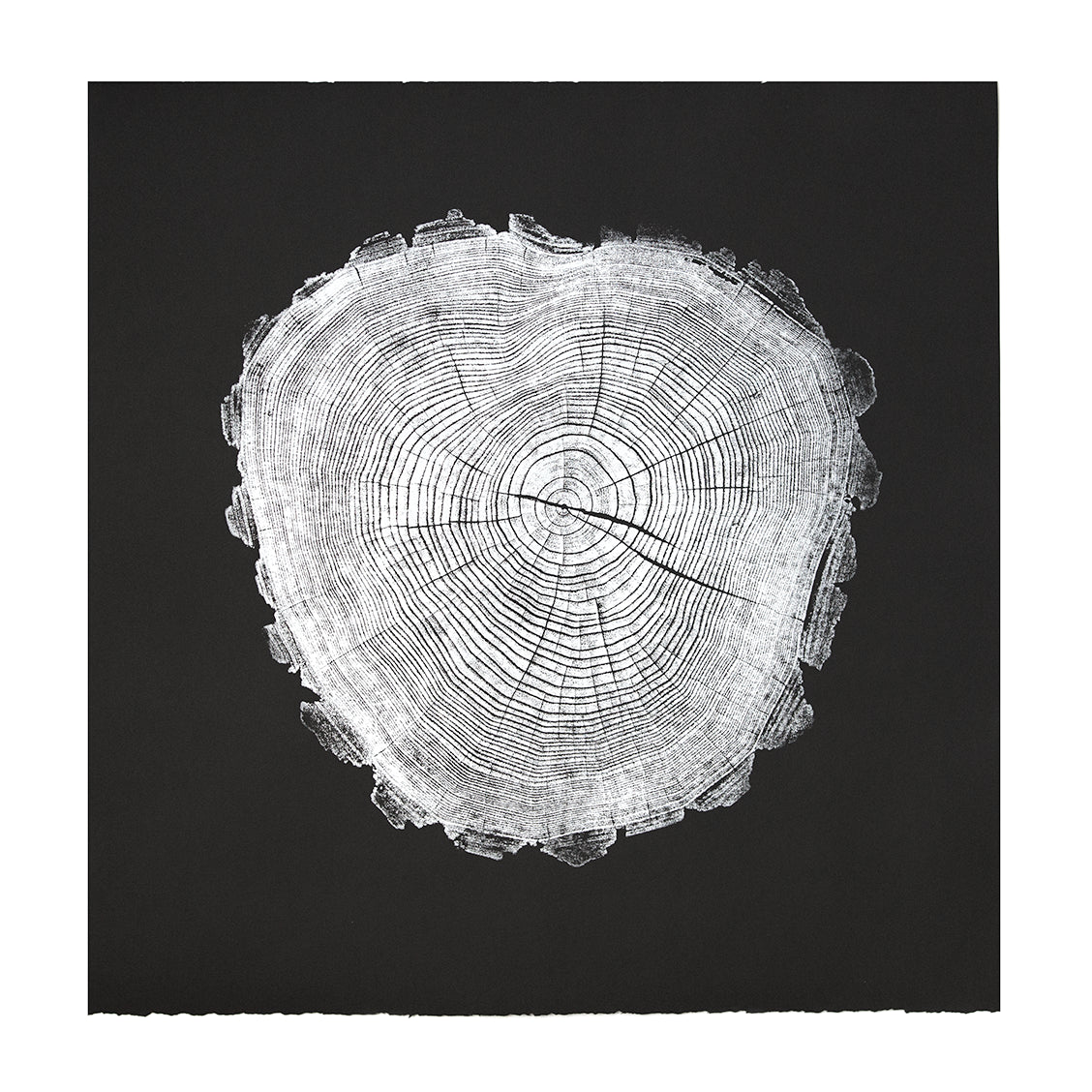 Woodcut Tree Prints – HVRNT