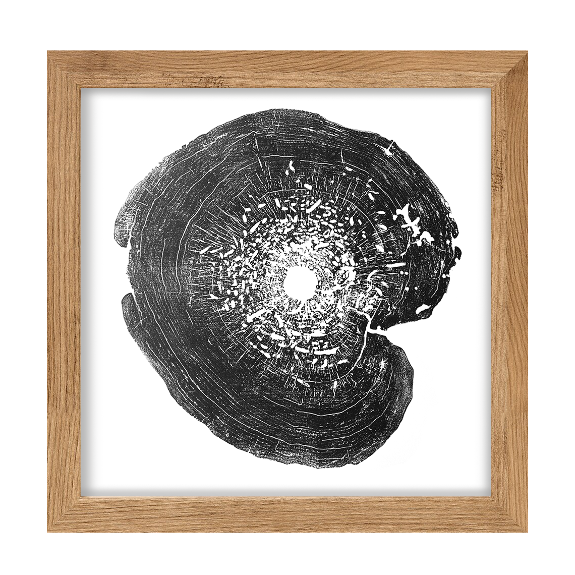 "Box Elder" Tree Print - White Paper – HVRNT